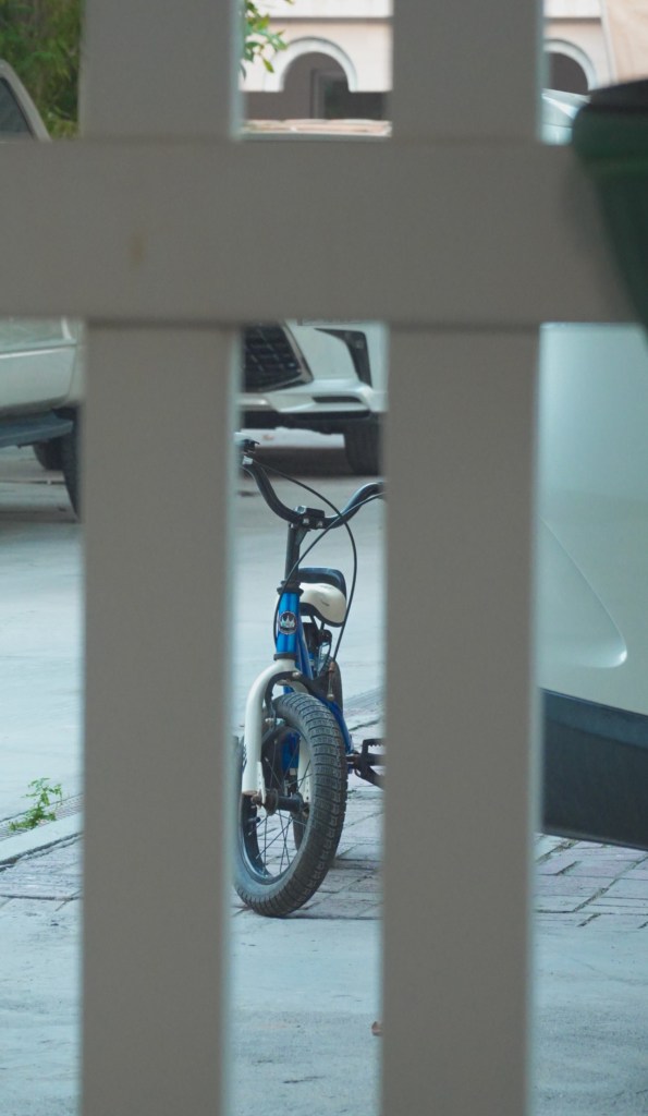 Sony Picture Profiles setup | Ali's Photography Space...