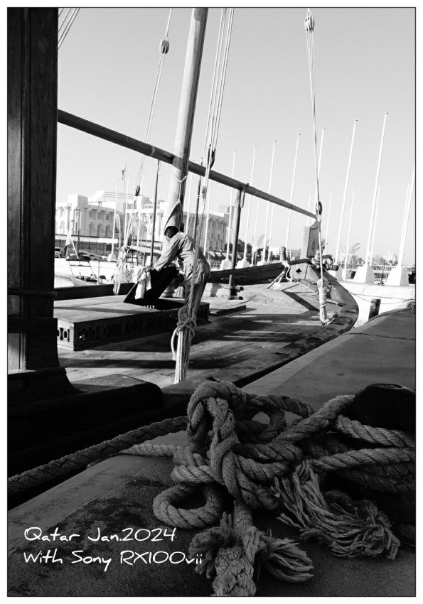 Sony Picture Profiles setup | Ali's Photography Space...