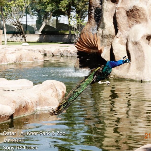 Sony Picture Profiles setup | Ali's Photography Space...